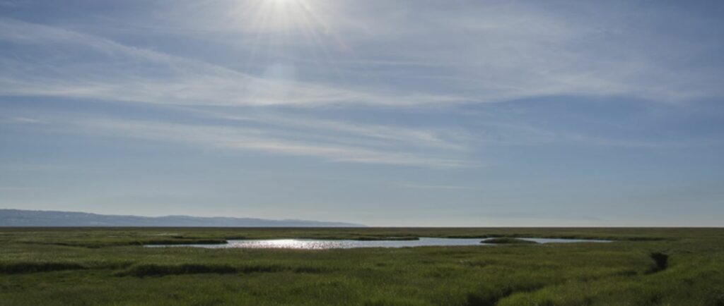 Dredging works begin at Parkgate Marshes - Dredging Today