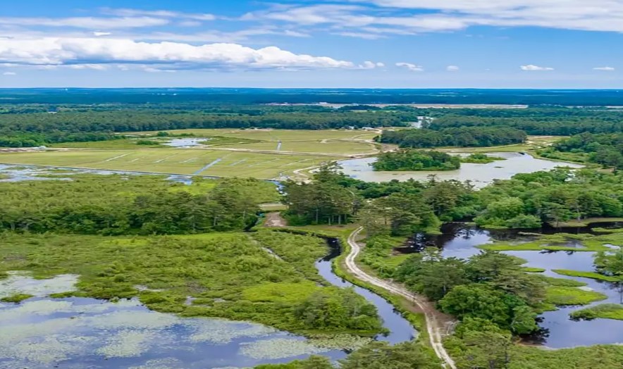 Fish and Wildlife Service: $25M for coastal wetlands restoration ...